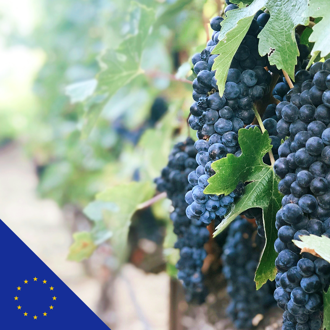 Are you ready for the new EU wine labeling regulation? - Siplabel